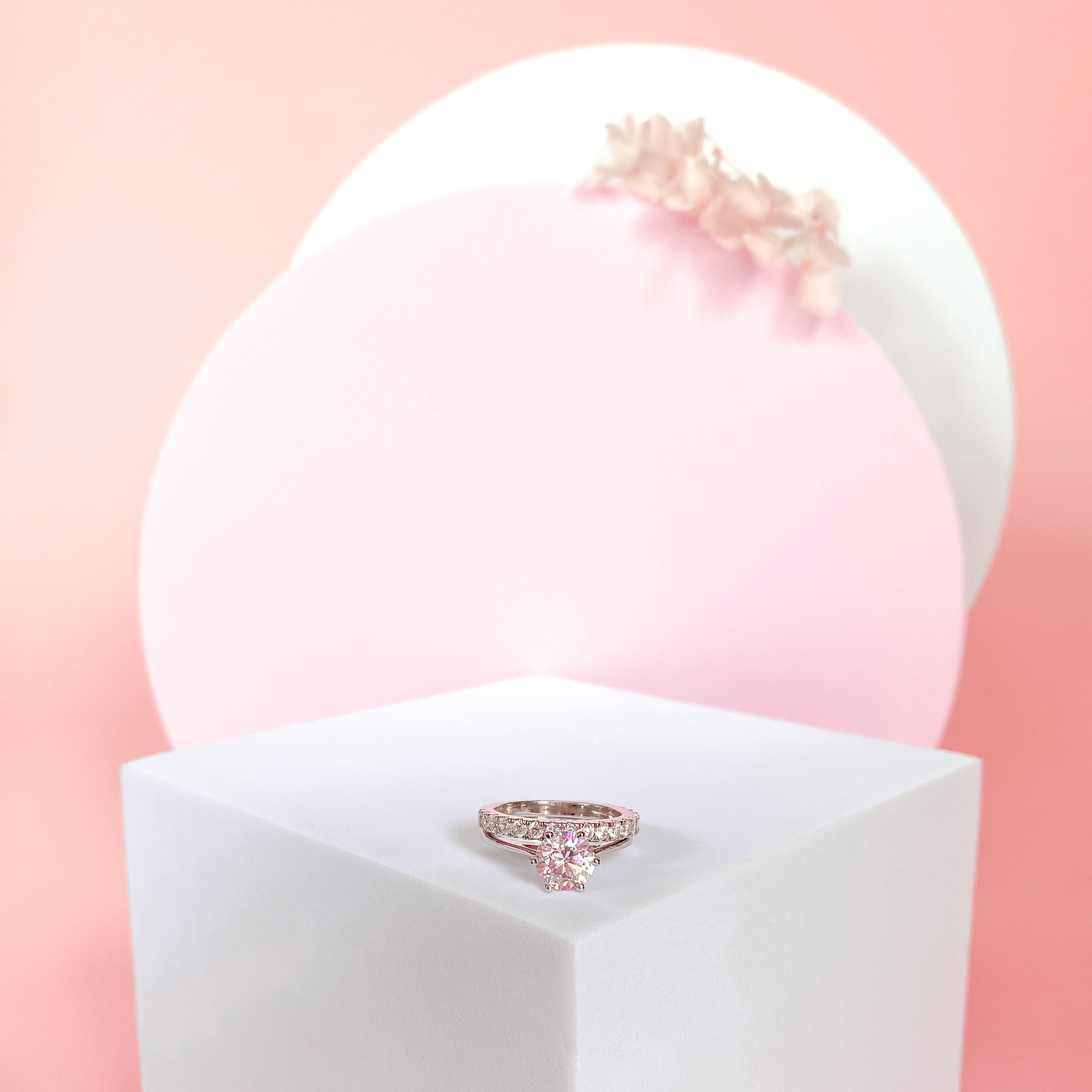 SOFIA – The Starry Co