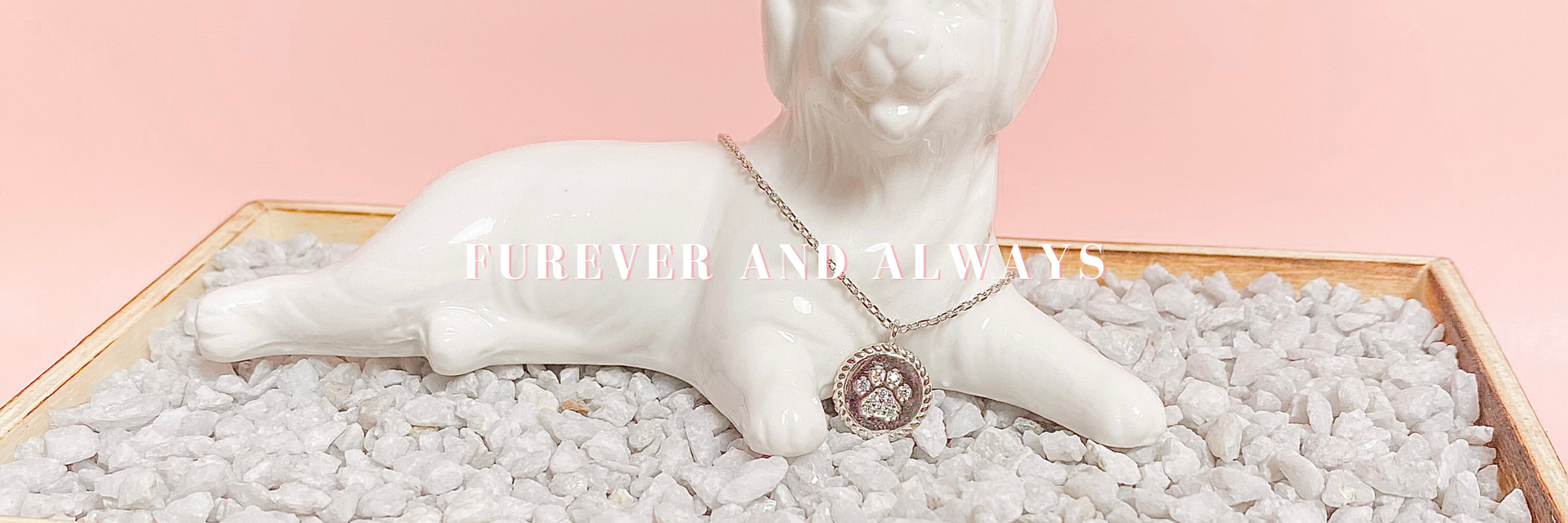 PAW COLLECTION – The Starry Co