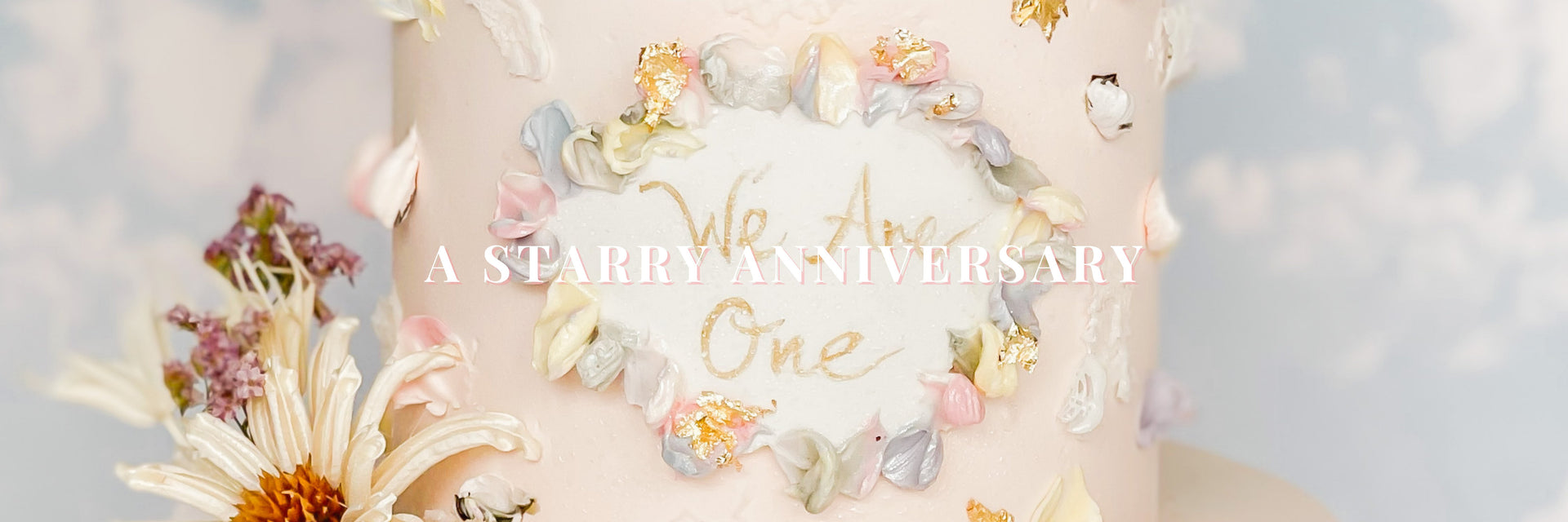 STARRY COLLECTION – The Starry Co