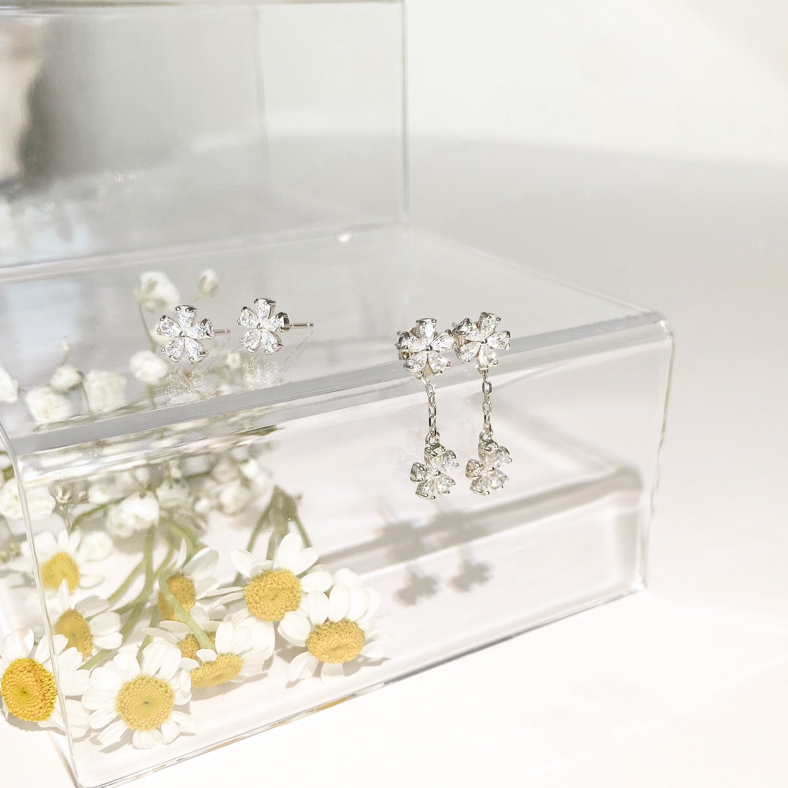 WILLOW – The Starry Co